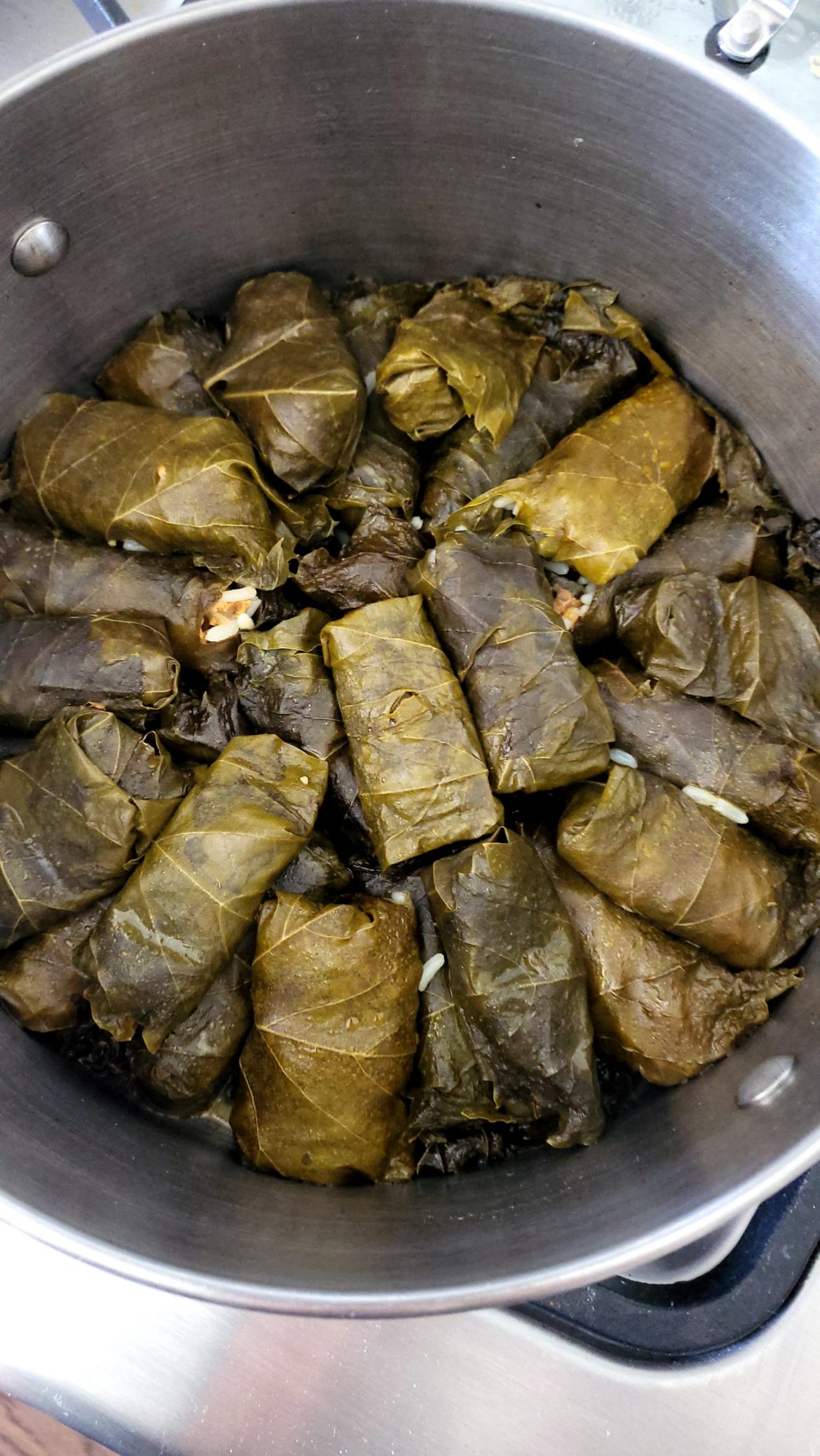 Low Carb Dolma | Tolma | Dolmades - The Hungry Elephant